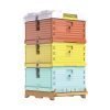 Langstroth Plastic Thermo Beehive | Ango Apiculture