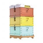 Langstroth Plastic Thermo Beehive | Ango Apiculture