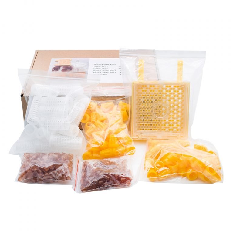 Jenter Queen Rearing Nicot Kit For Beekeeping | Ango Apiculture
