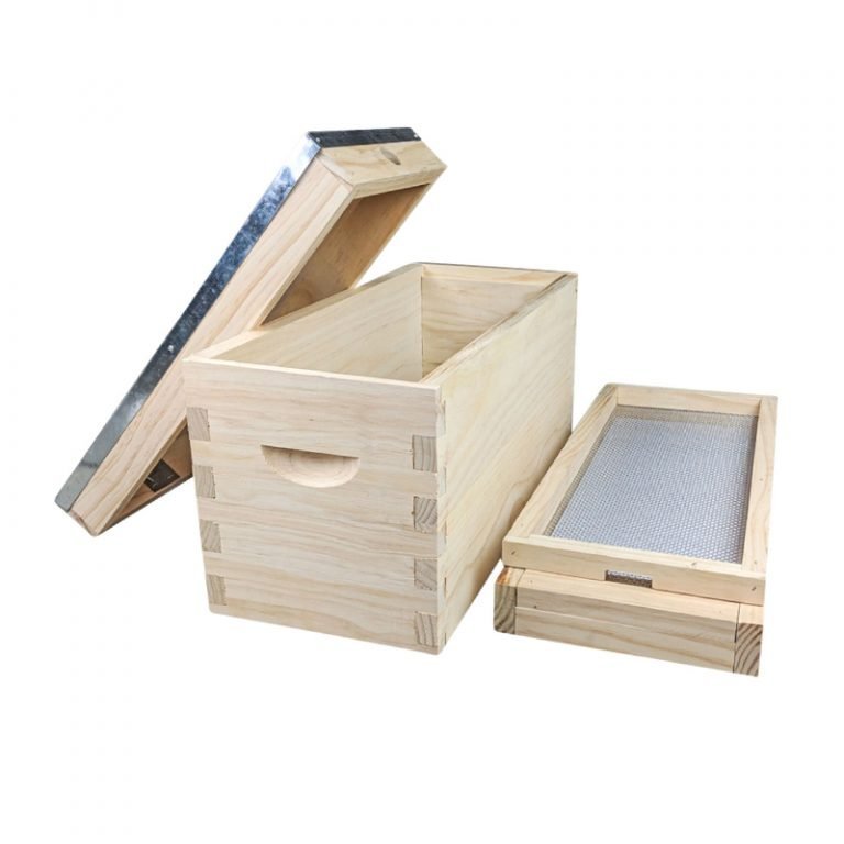 Langstroth Plastic Thermo Beehive | Ango Apiculture