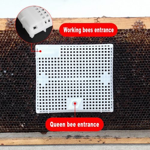 Beekeeping Queen Introduction Cage For Sale - Ango Apiculture