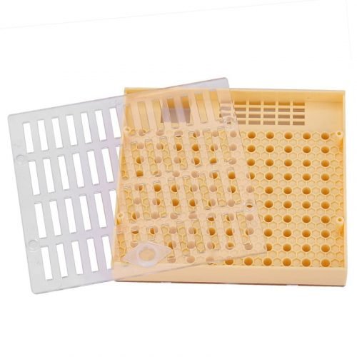 Queen Rearing Cell Box For Sale - Ango Apiculture