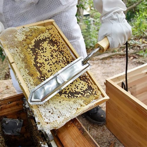 12V Electric Honey Uncapping Knife - Ango Apiculture