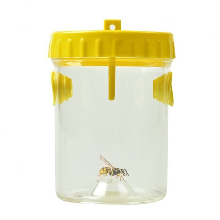 Bee/Beetle/Wasp Catcher Archives - Ango Apiculture